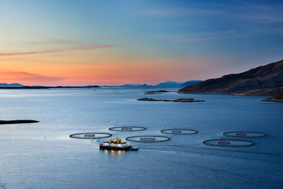 ABGSC acted as joint global coordinator and joint bookrunner in the NOK ...