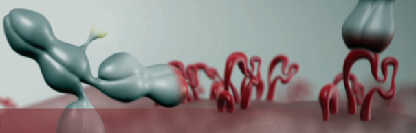 ABG Sundal Collier acted as Joint Global Coordinator and Joint ...