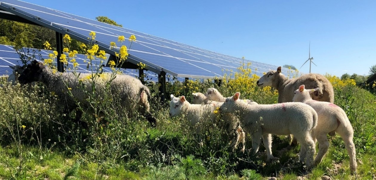 ABG Sundal Collier acted as exclusive financial advisor to BeGreen, a ...